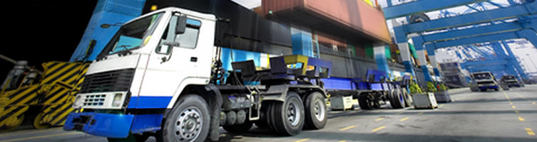 Renuka | Logistics and Shipping